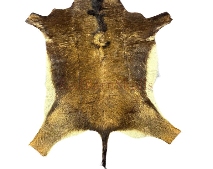 Gemsbok Skin - Deer Leather Rug -deer Skin for Pillows, Wallets, Hand ...