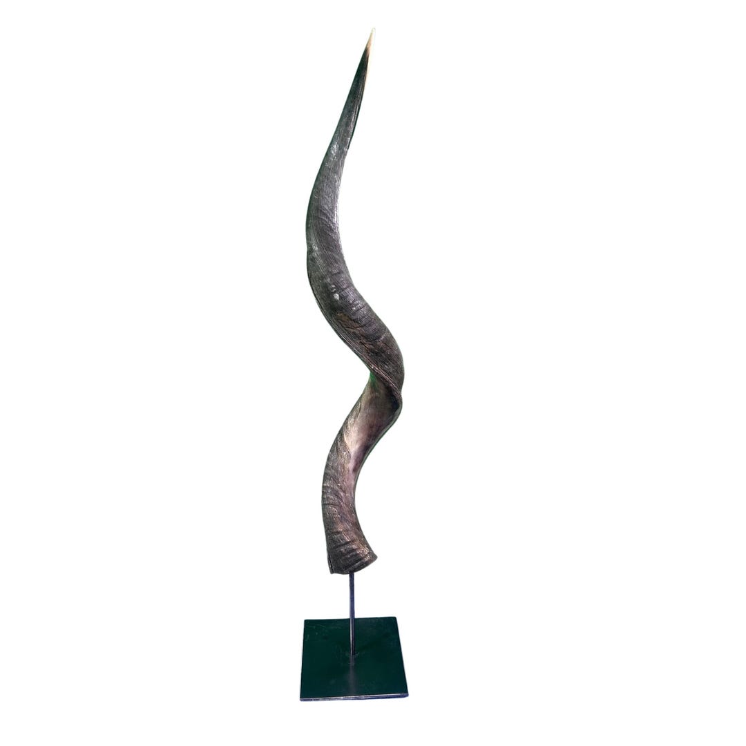 Kudu Horn on Metal Base- Real Semi Polished Kudu Horn - Horn Antler for ...