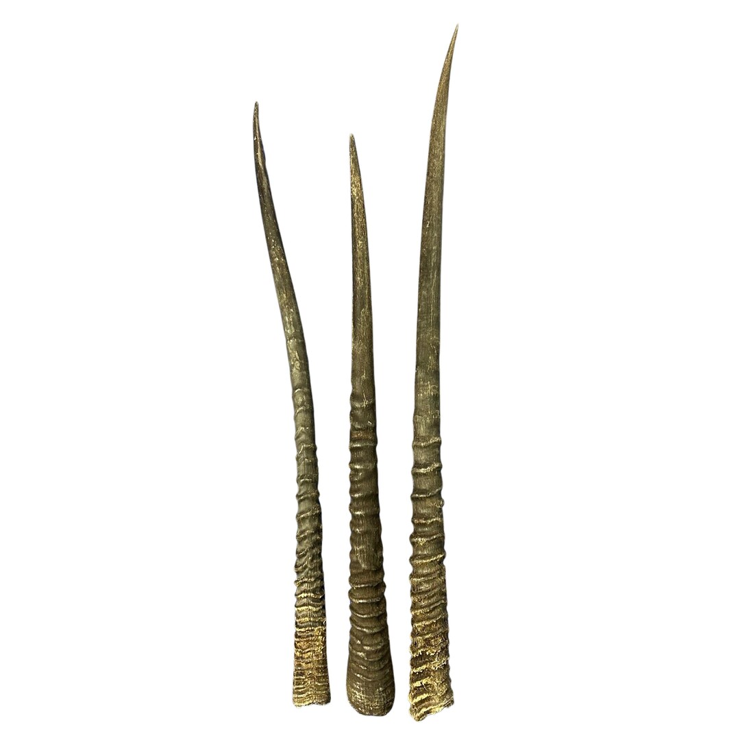 Real Oryx Horn - 1 Genuine Gemsbok Horn - Real Horn Antler Arts and ...