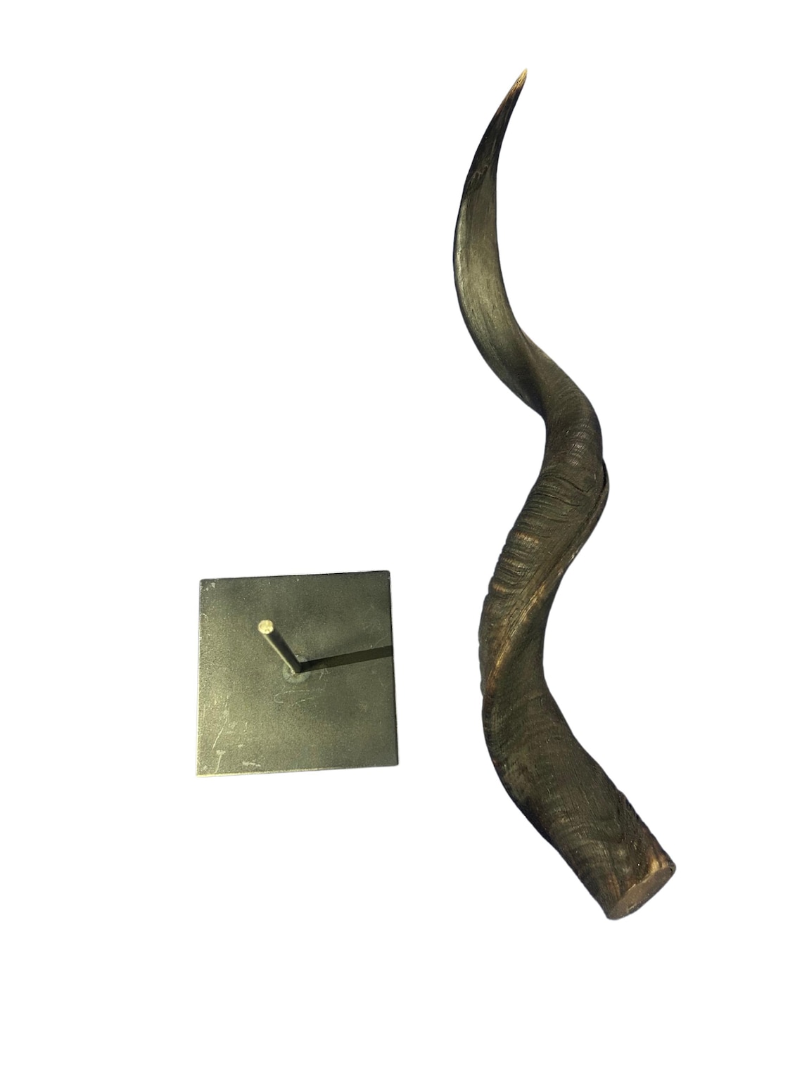 Kudu Horn on Metal Base- Real Natural Kudu Horn - Real Horn Antler for ...