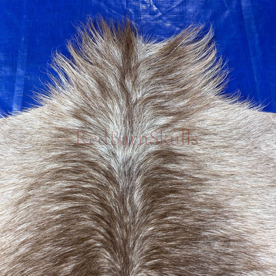 Waterbuck Skin - Deer Leather Rug -deer Skin Floor Rug - Real Waterbuck ...