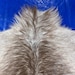 Waterbuck Skin - Deer Leather Rug -deer Skin Floor Rug - Real Waterbuck ...