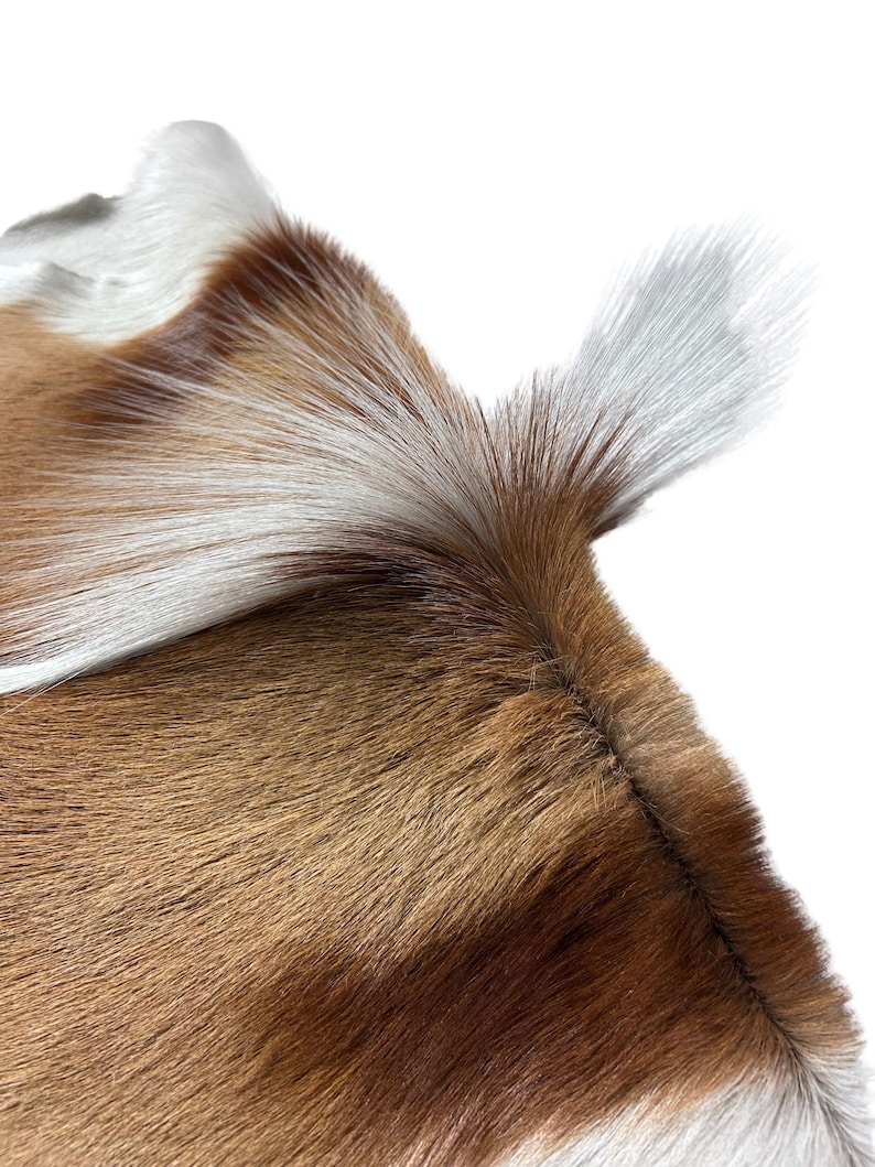 Springbok Skin - Deer Leather Rug Deer Skin for Pillows, Wallets, Hand ...