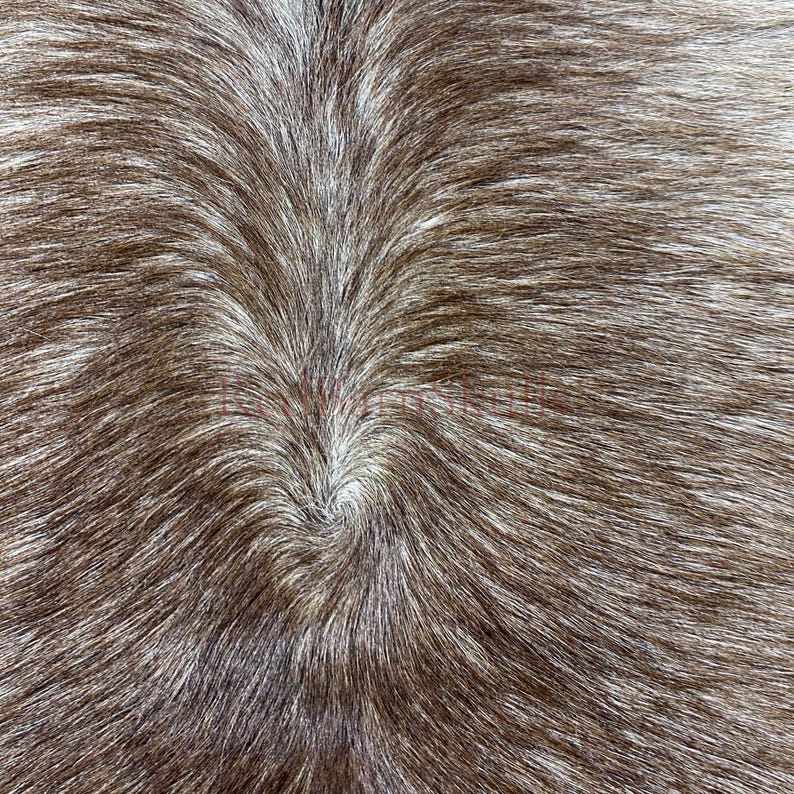 Waterbuck Skin - Deer Leather Rug -deer Skin Floor Rug - Real Waterbuck ...