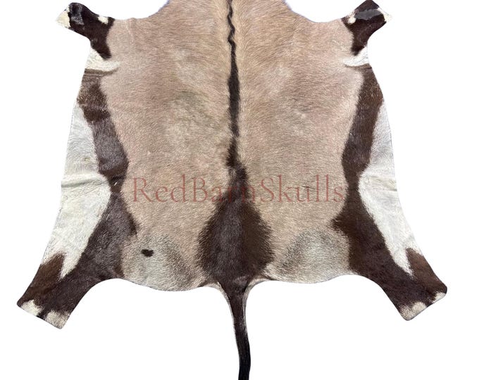Gemsbok Skin - Deer Leather Rug -deer Skin for Pillows, Wallets, Hand ...