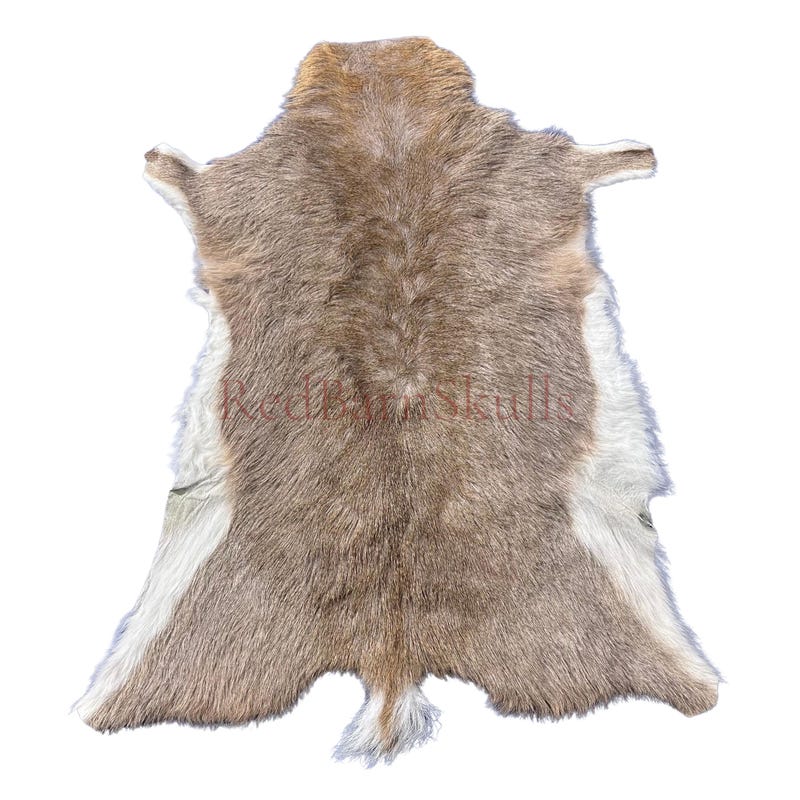 Deer Hide - Etsy