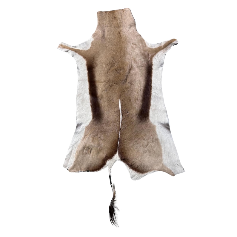 Springbok Skin - Deer Leather Rug Deer Skin for Pillows, Wallets, Hand ...