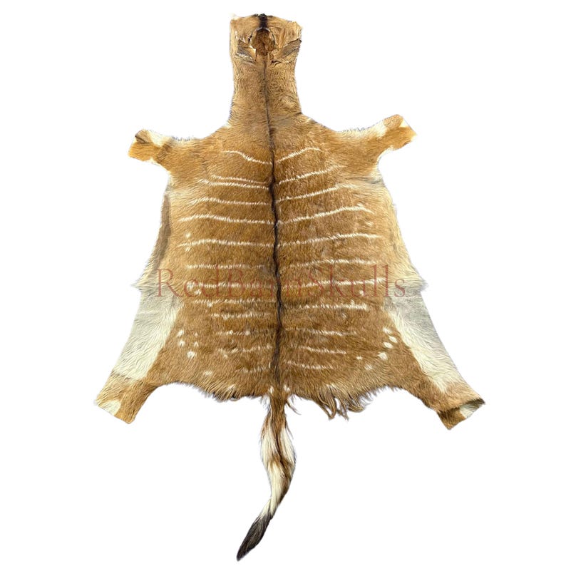 Female Nyala Skin - Deer Leather Rug -deer Skin for Pillows, Wallets ...