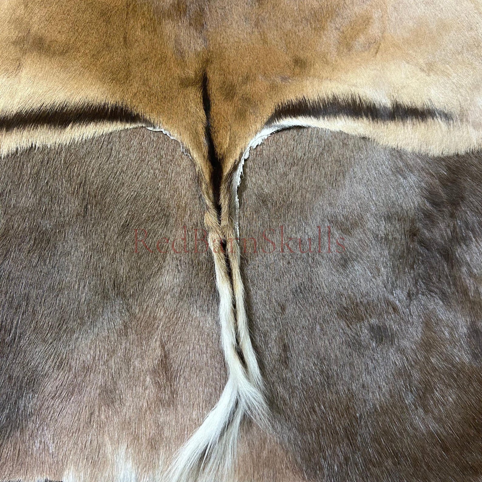 Real Impala Skin - Deer Leather Rug Deer Skin for Pillows, Wallets ...