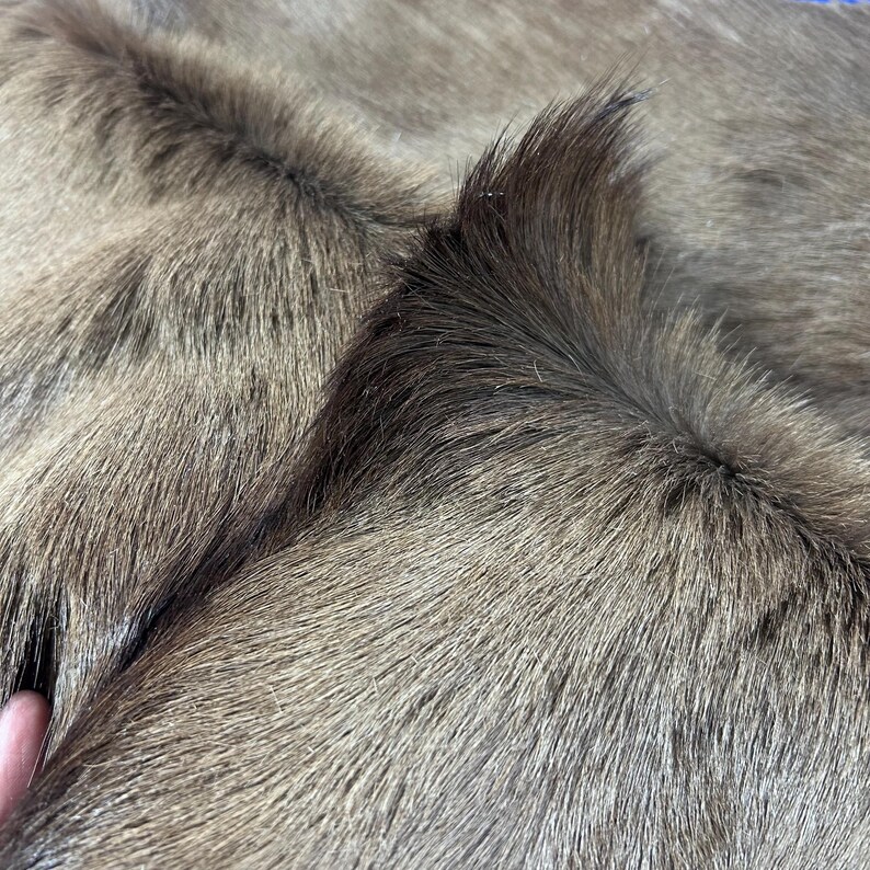 Springbok Skin - Deer Leather Rug Deer Skin for Pillows, Wallets, Hand ...