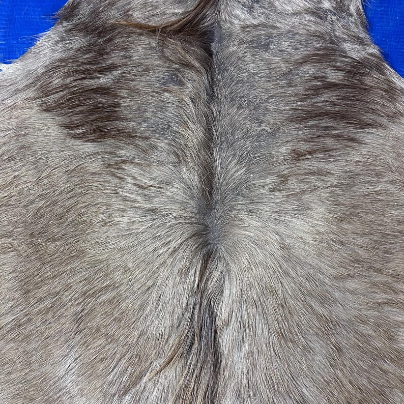 Kudu Skin - Deer Leather Rug -deer Skin for Pillows, Wallets, Hand Bags ...
