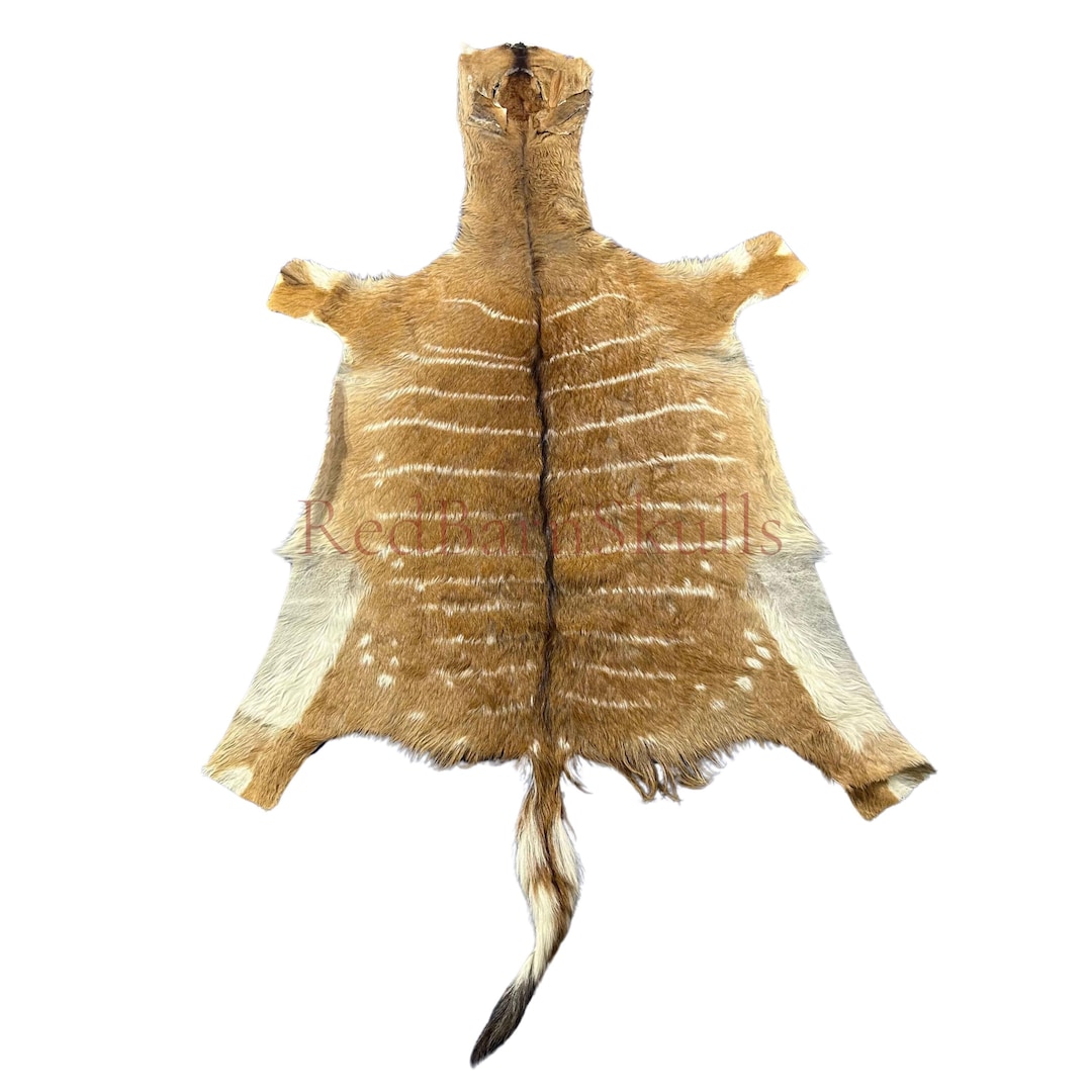 Female Nyala Skin - Deer Leather Rug -deer Skin for Pillows, Wallets ...