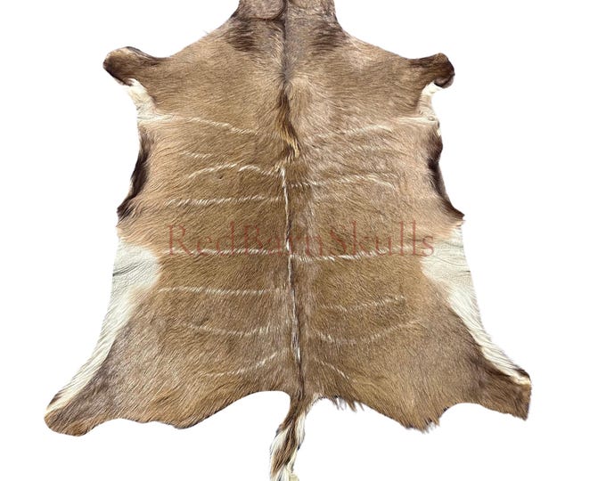 Kudu Skin - Deer Leather Rug -deer Skin for Pillows, Wallets, Hand Bags ...