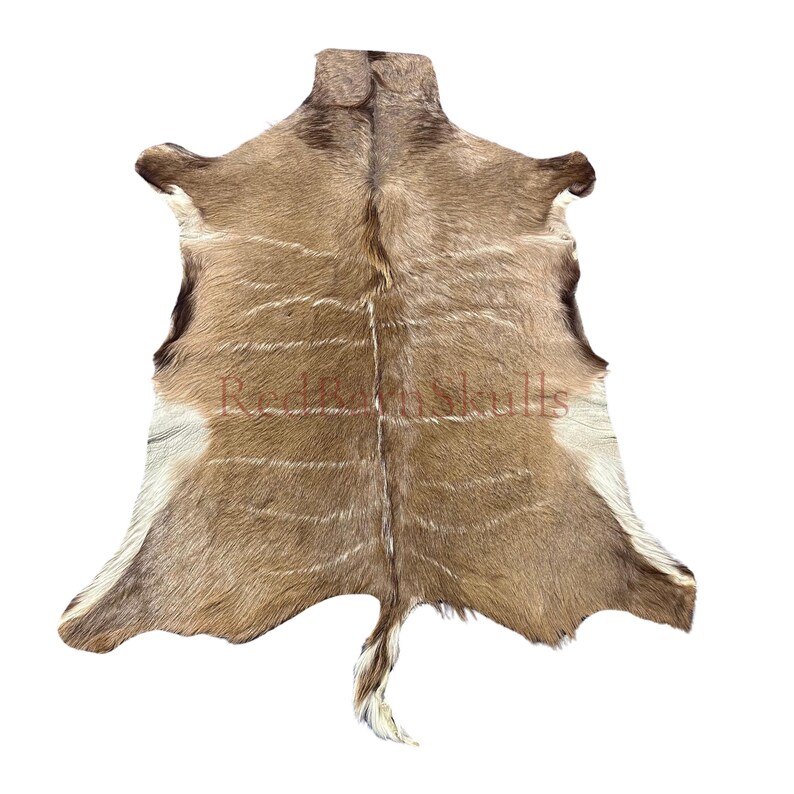 Kudu Skin - Deer Leather Rug -deer Skin for Pillows, Wallets, Hand Bags ...