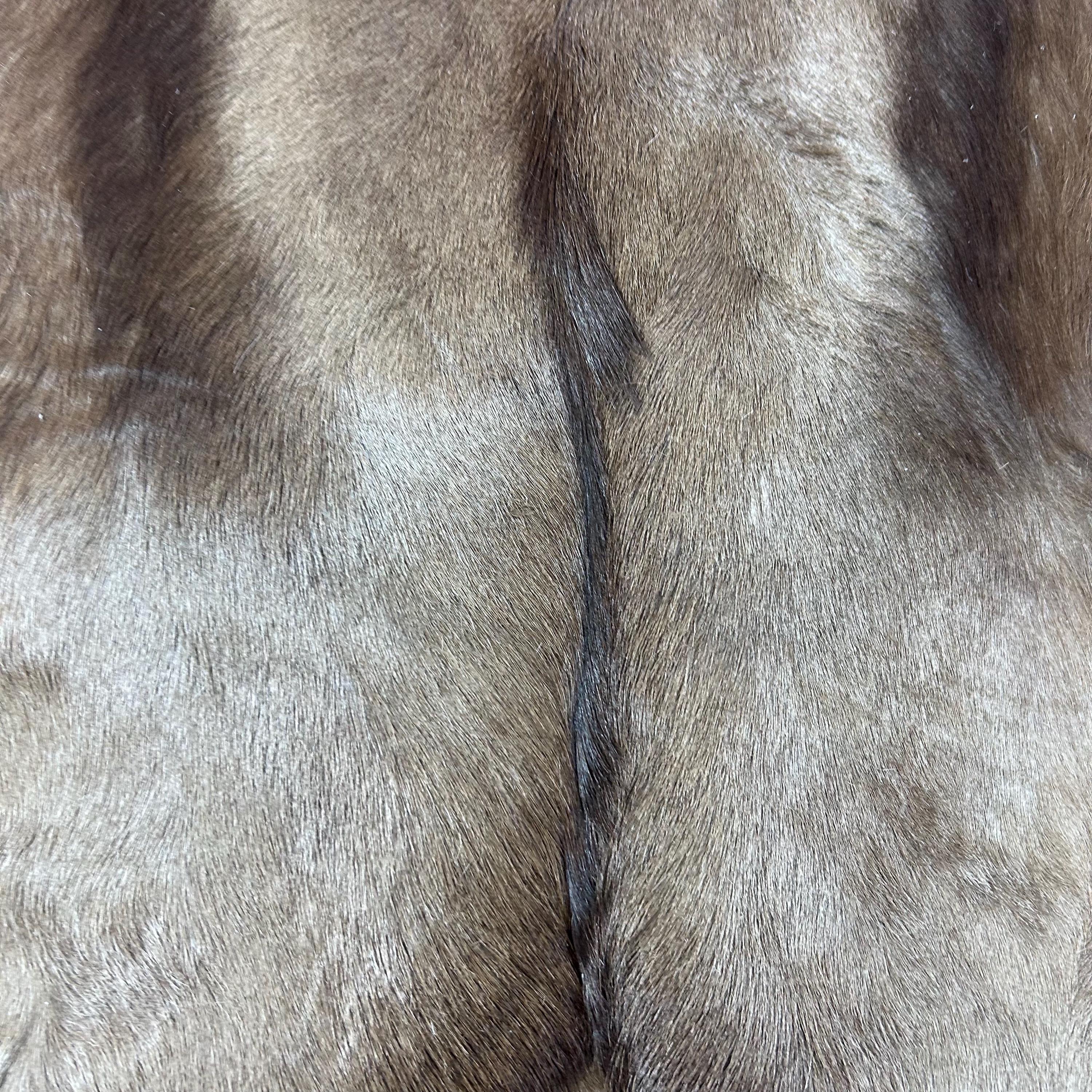 Springbok Skin - Deer Leather Rug Deer Skin for Pillows, Wallets, Hand ...