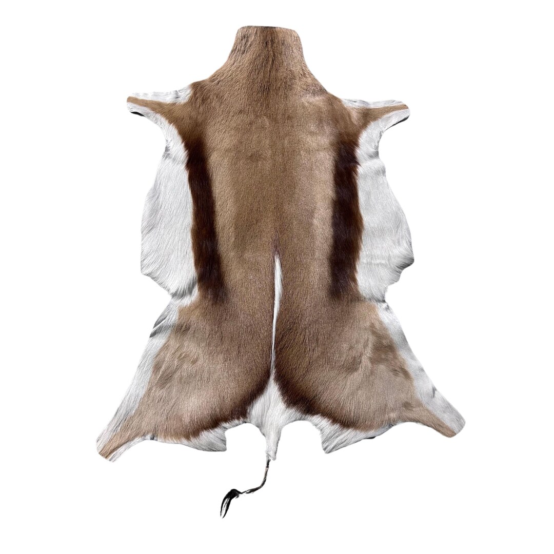 Springbok Skin - Deer Leather Rug Deer Skin for Pillows, Wallets, Hand ...
