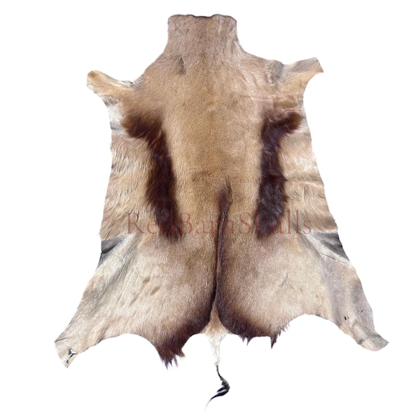 Deer Hide - Etsy