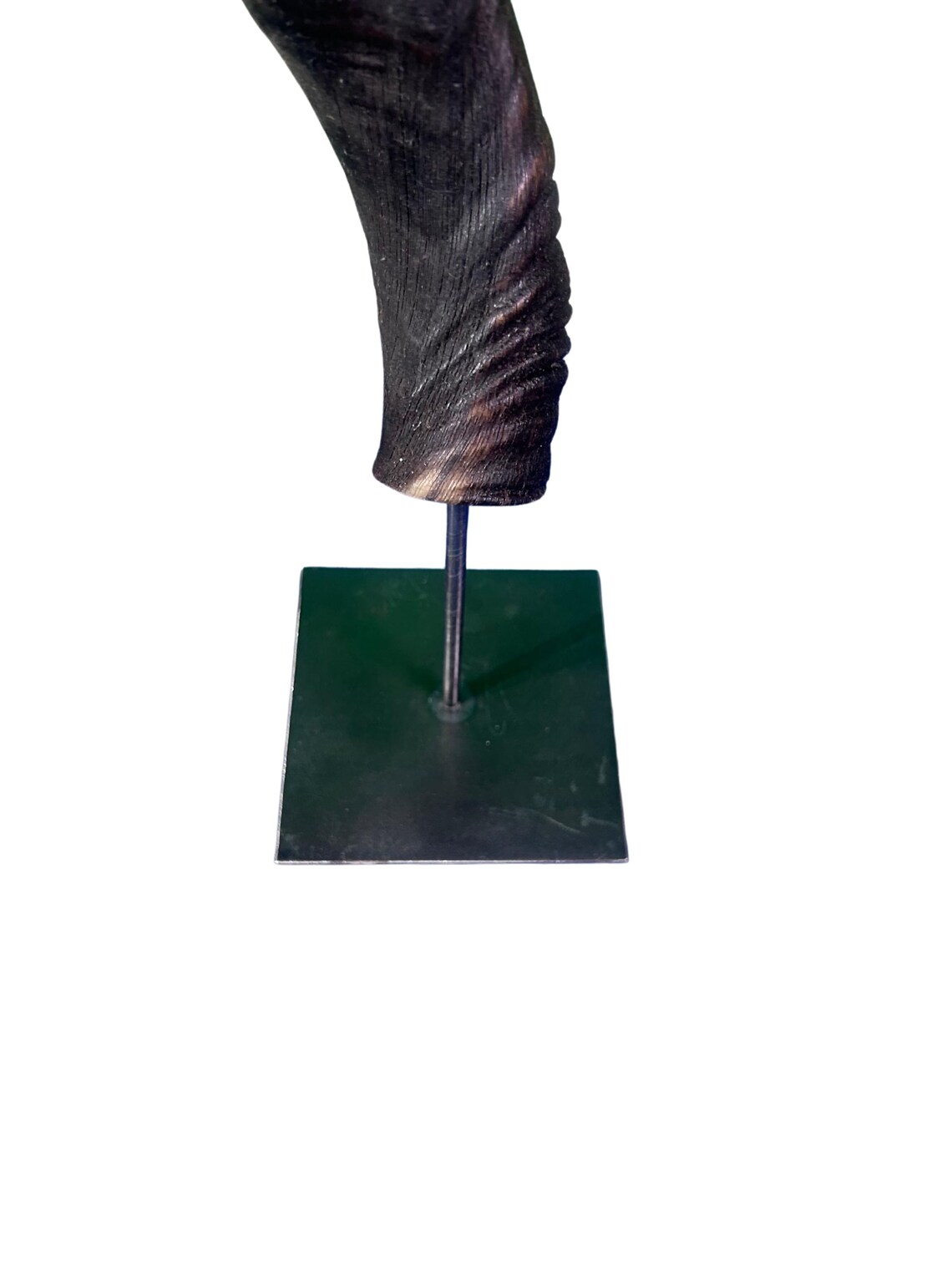 Kudu Horn on Metal Base- Real Natural Kudu Horn - Real Horn Antler for ...