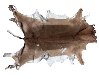 Gemsbok Skin - Deer Leather Rug -deer Skin for Pillows, Wallets, Hand ...