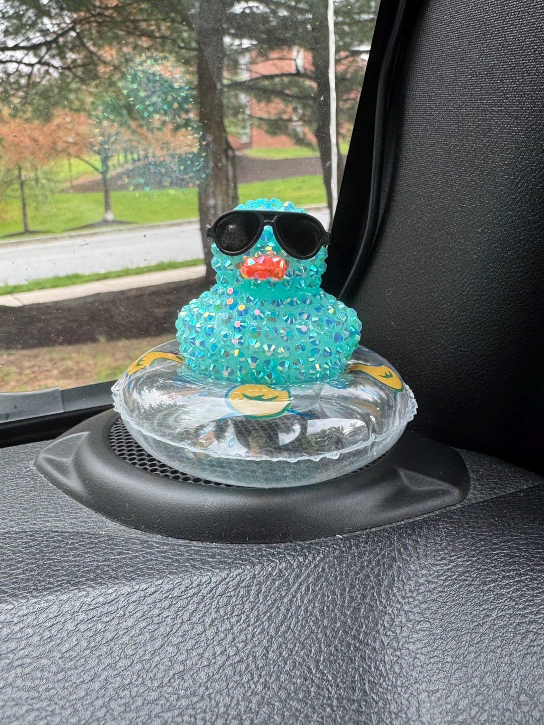 Bedazzled Duck: Sunglasses and Inner Tube - Etsy