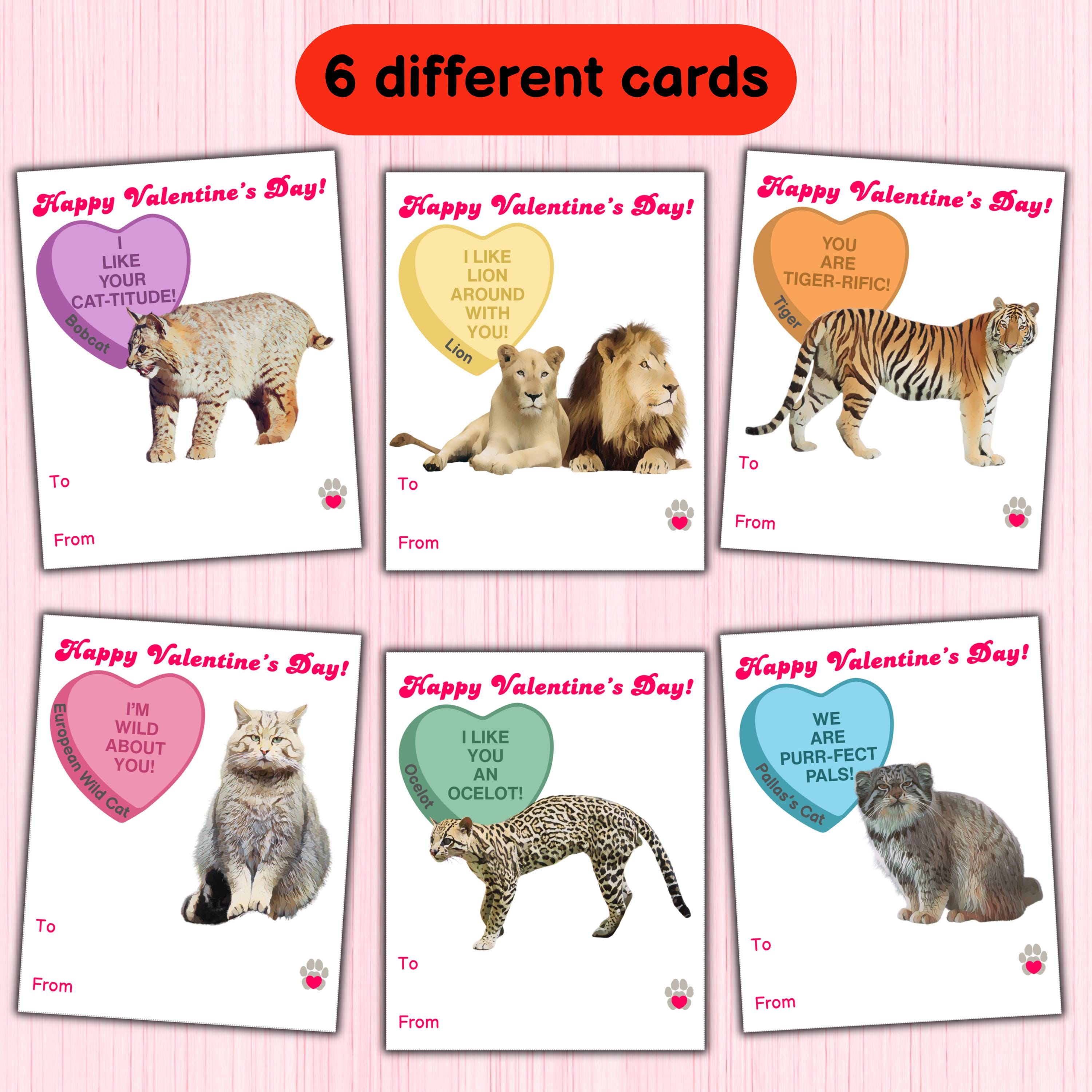 Wild Cat Lover Valentine Cards for Kids School Classroom Valentines ...