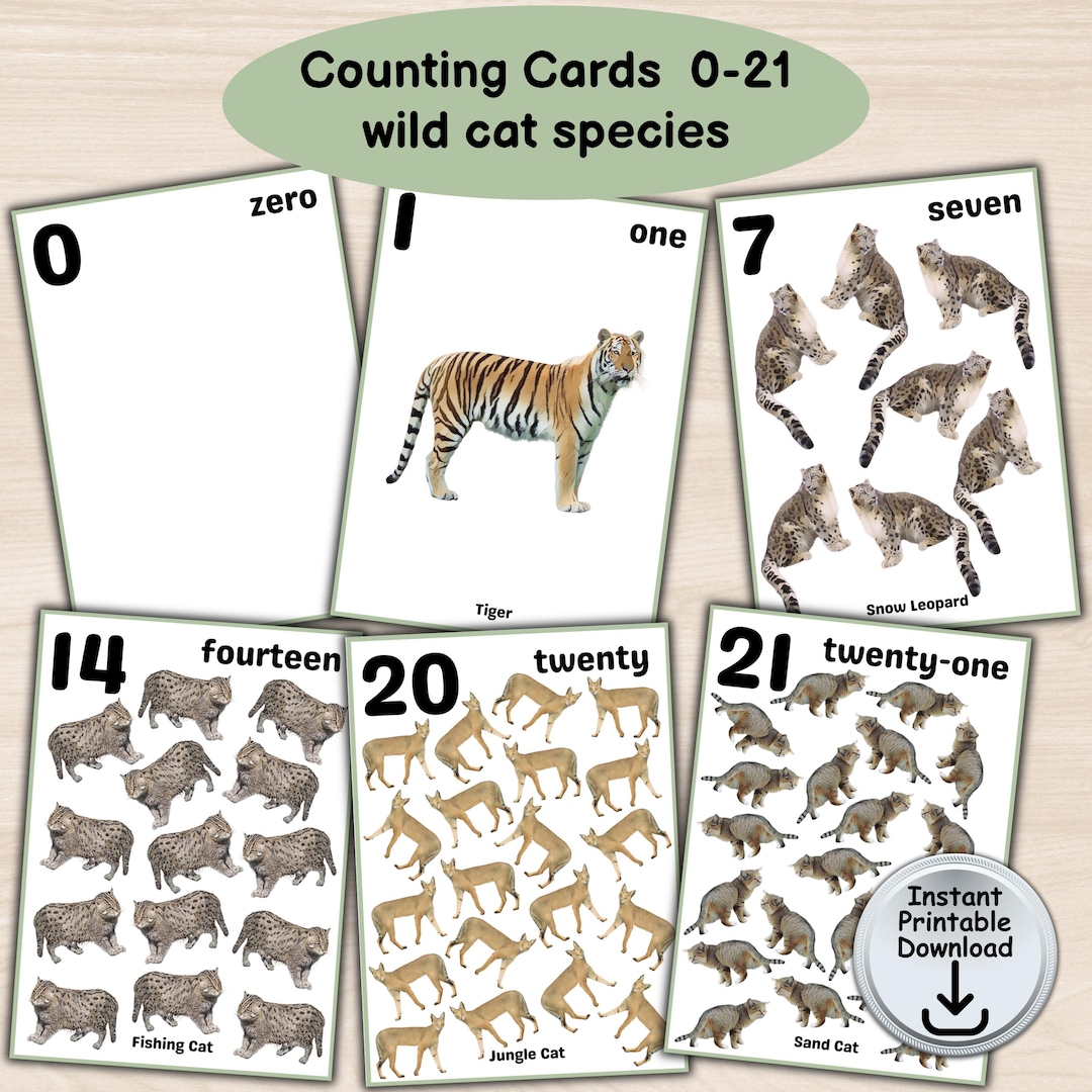 Wild Cat Counting Cards 0-21, Cat Counting Flashcards, Cat Number Cards ...