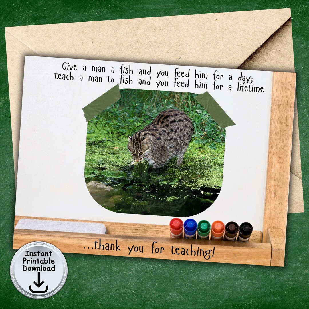 Teacher Appreciation Thank You Card, Fishing Cat Card, Cat Card ...