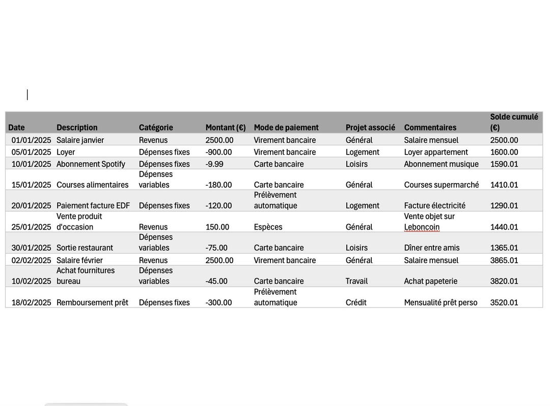 Easy Financial Management Excel Table - Etsy