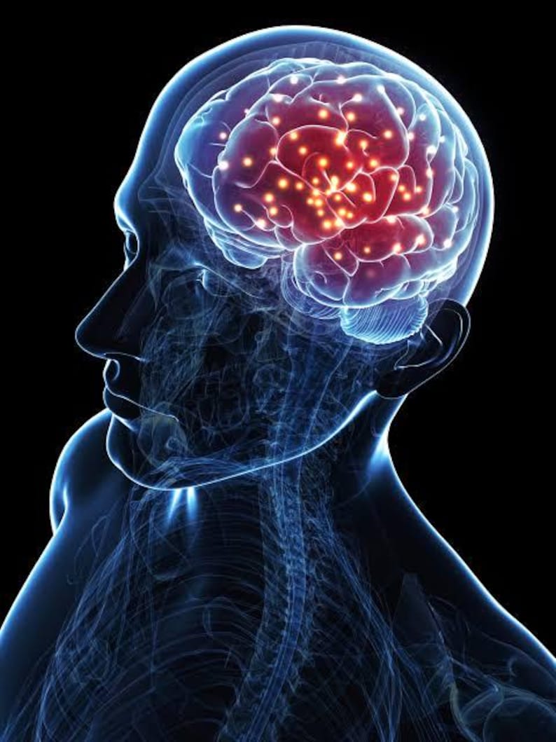 Thinking, Fast and Slow: Book Summary and Key Insights, How Your Brain ...