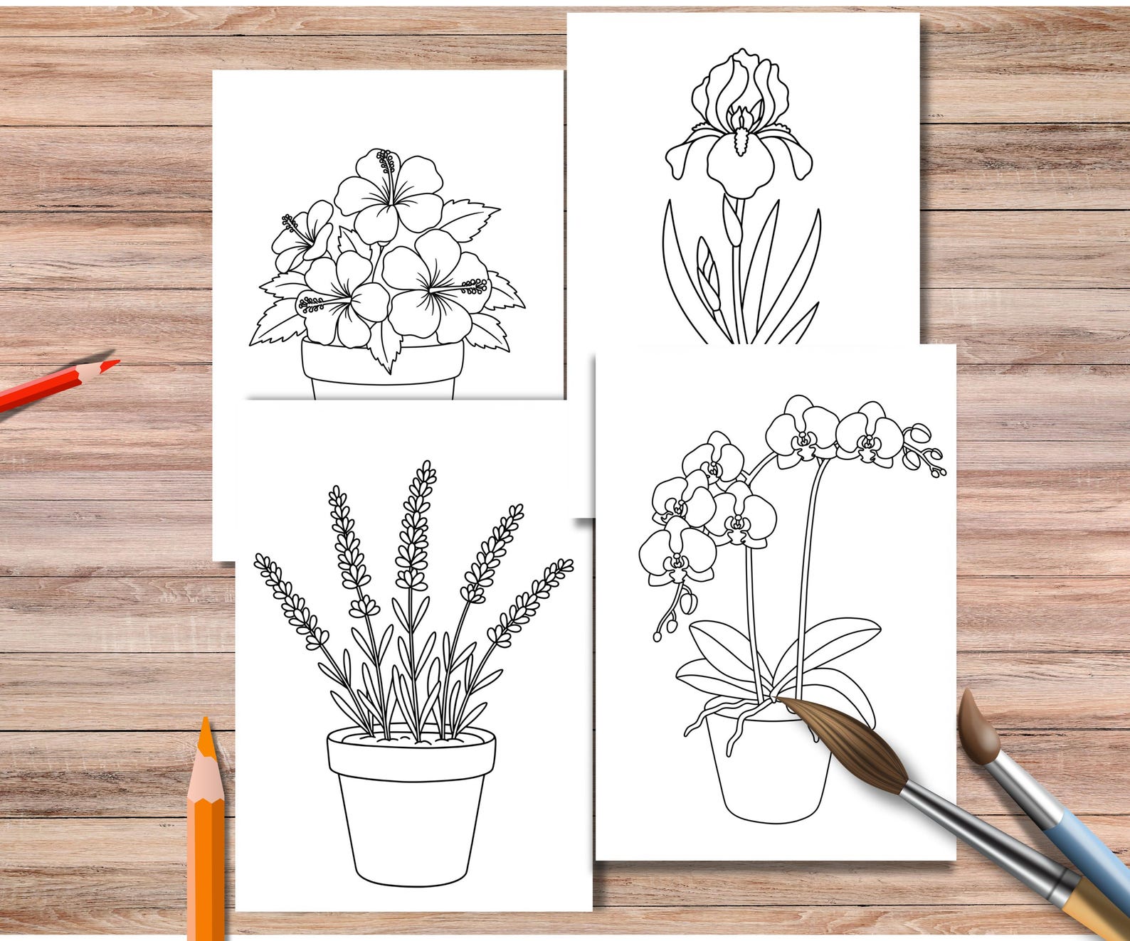 Flowers Coloring Pages for Kids | Cute Bold & Easy Coloring Templates ...