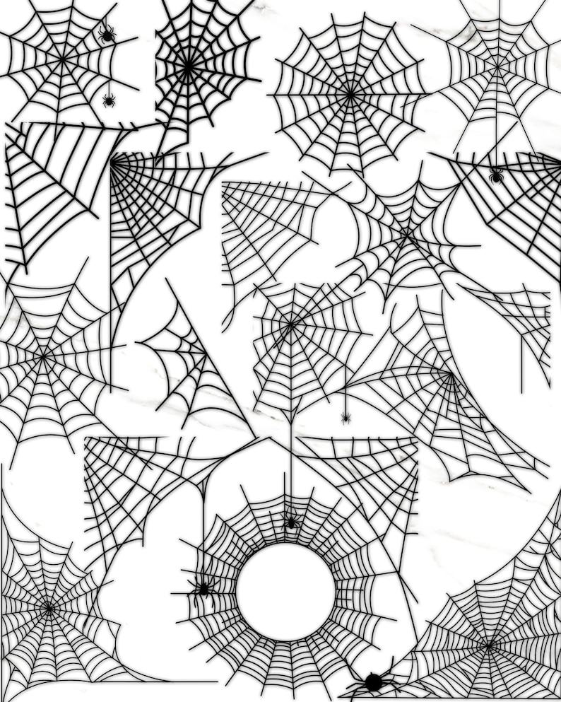 Spider Web SVG Bundle: Halloween Clipart, PNG, PDF (digital Download ...