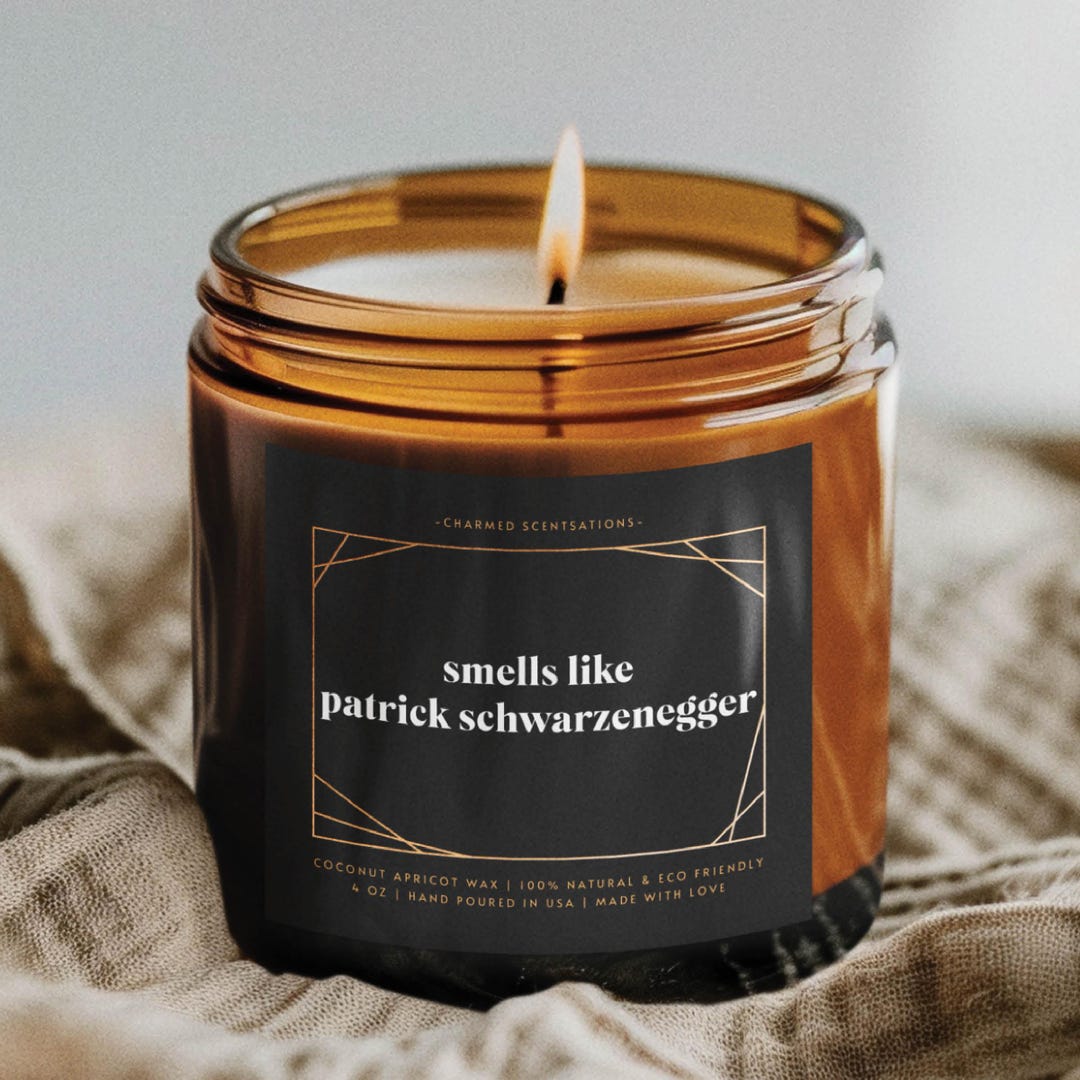 Smells Like Patrick Schwarzenegger Candle - Natural Coconut Apricot Wax ...