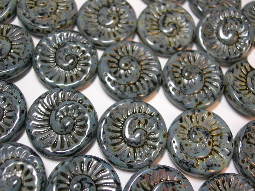 6 - 18mm Black Travertine Fossil Snail Shell Swirl Spiral Coin Czech ...