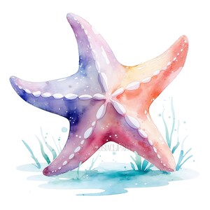Cute Rainbow Starfish Clipart, Watercolor Undersea Starfish, Sea ...
