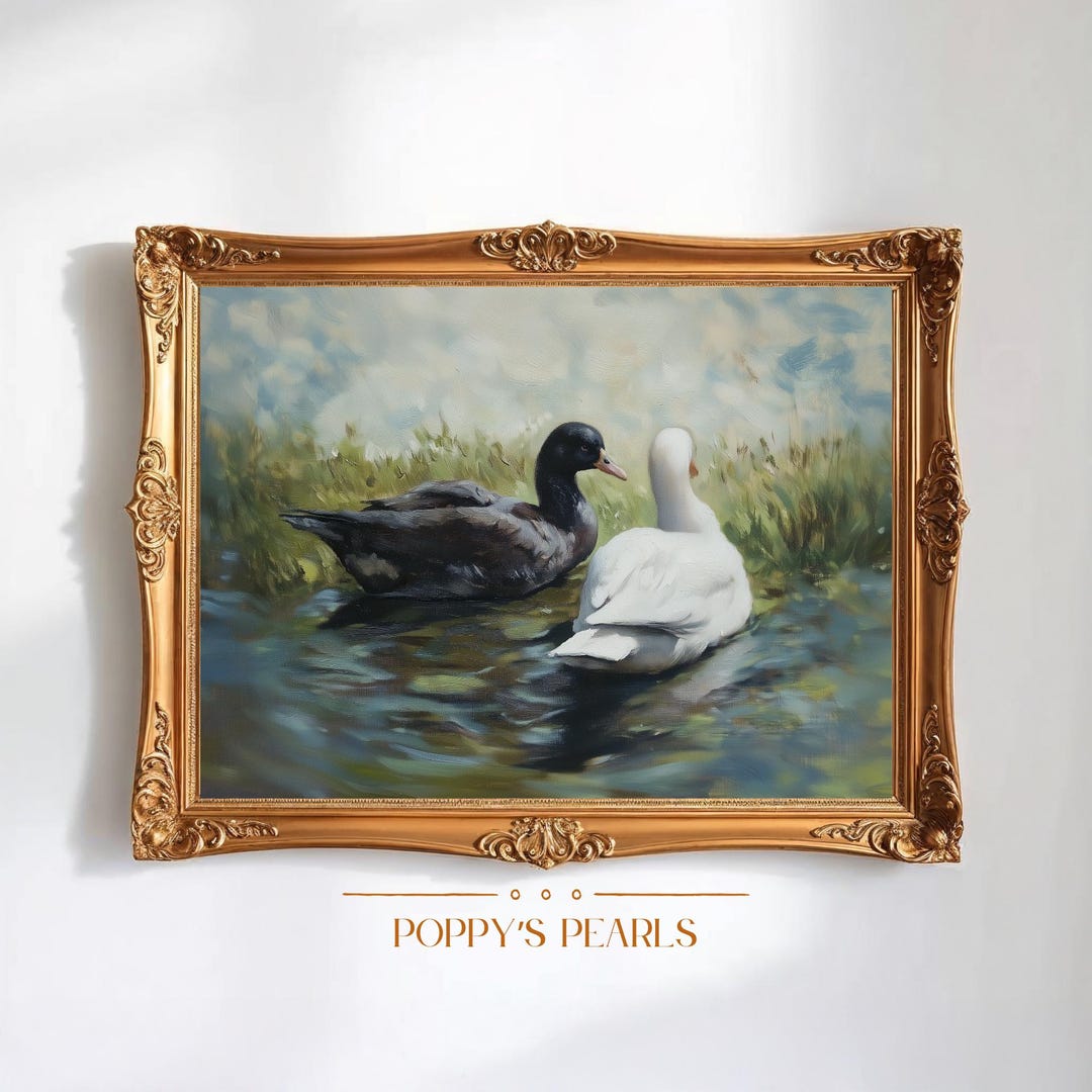 Swans in a Pond | Lake Art | Black & White Swan Art | Notebook Inspired ...