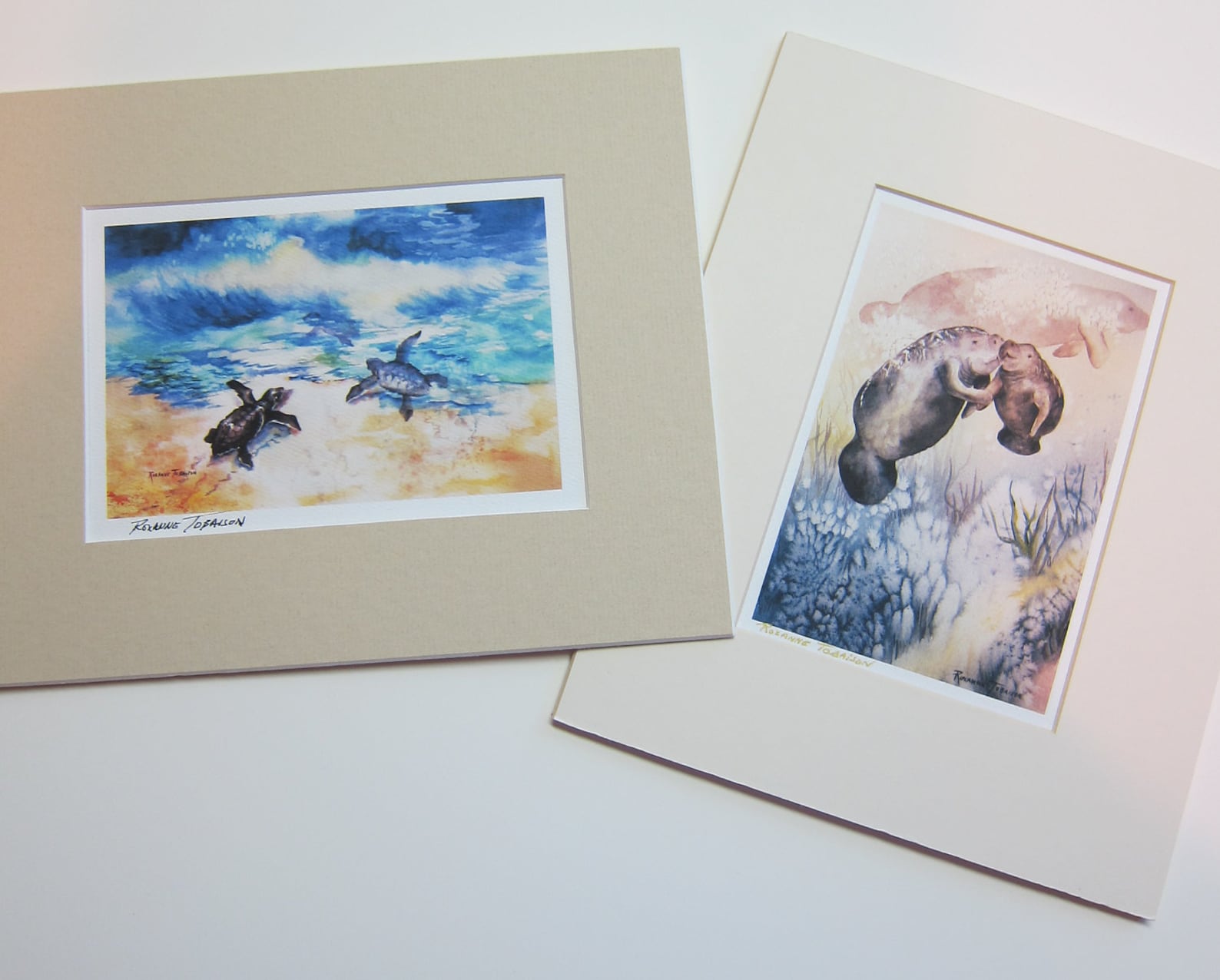 8 X 10 Matted 5 X 7 Note Card YOU PICK Any One Note Card in - Etsy