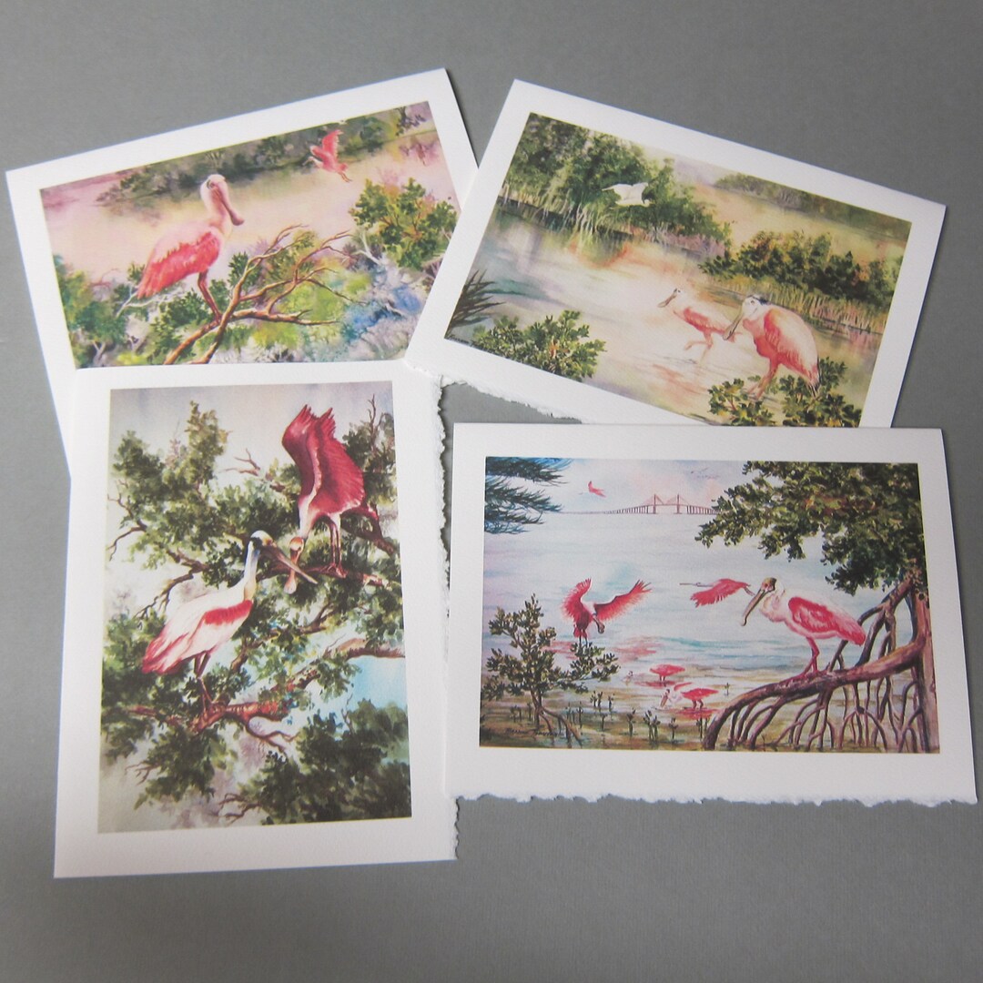 Spoonbills, Assortments (4) 5x7 Note Art Cards, Florida, Shorebirds ...