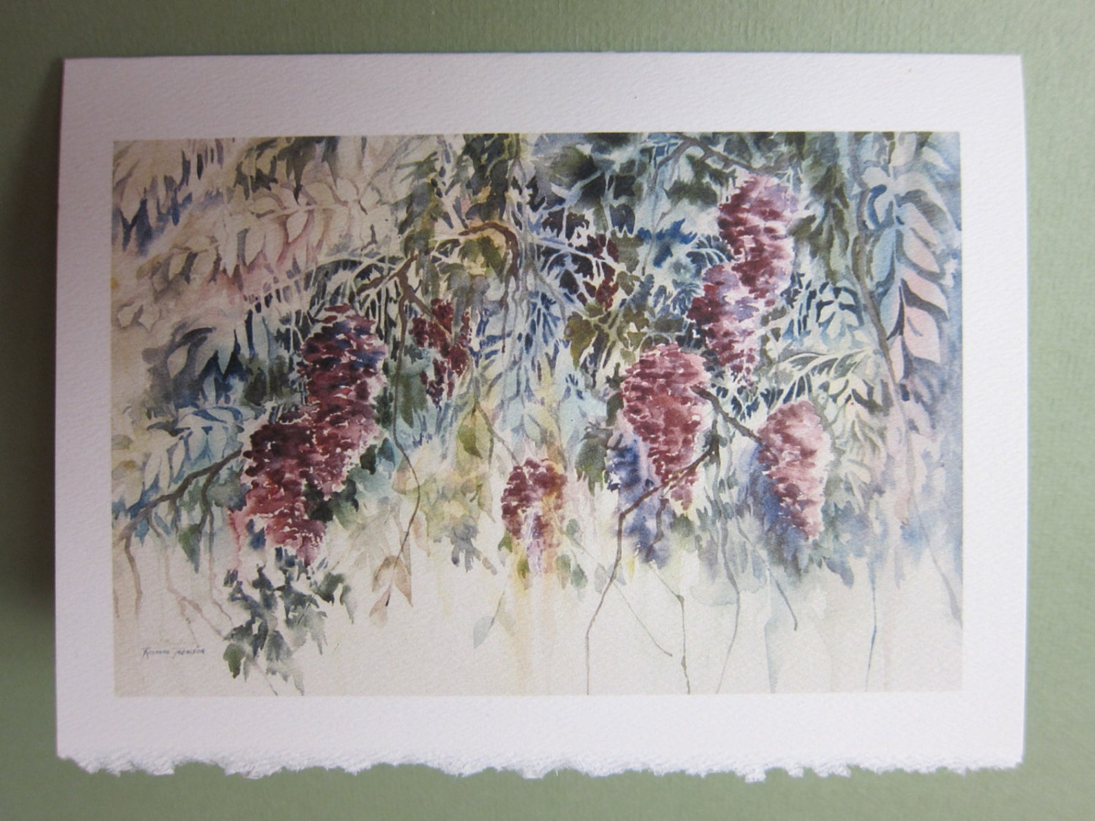 2 Wisteria 5 X 7 Note Cards Wisteria Vines Purple Lavender | Etsy