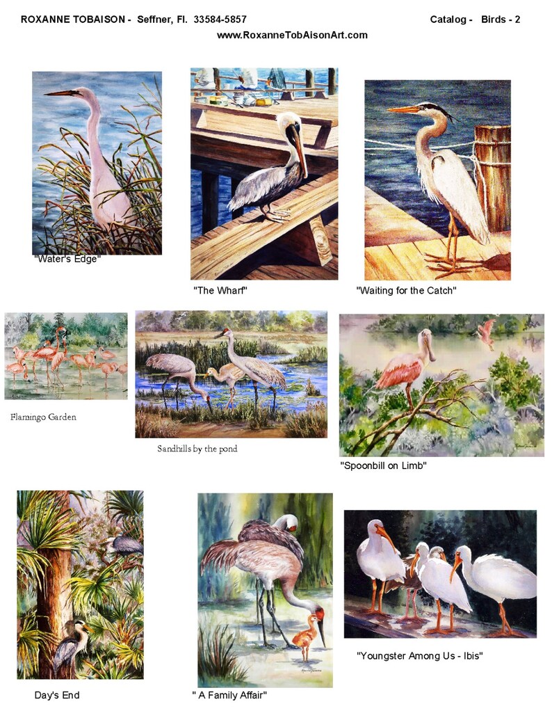Birds of Florida YOU Pick One 5x7 Note Card Watercolor Print - Etsy
