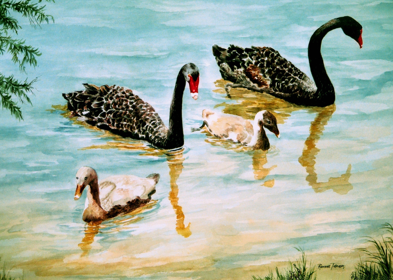 Swans With Cygnets 11 X 14 Art Prints 3 Choices - Pick 1 Watercolors ...