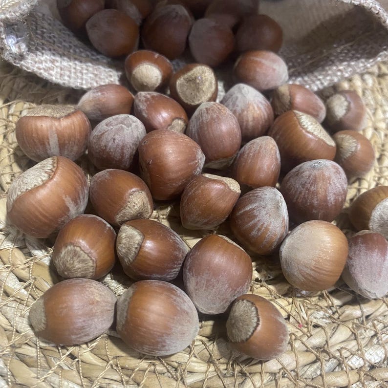 Organic Fresh Raw Hazelnuts, Nuts Turkish, Organic Health Resource ...