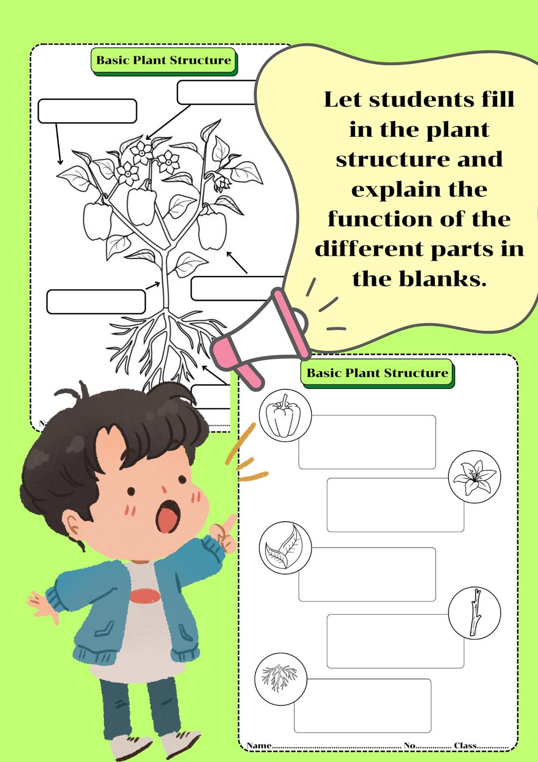 Basic Plant Structure Worksheet - Etsy