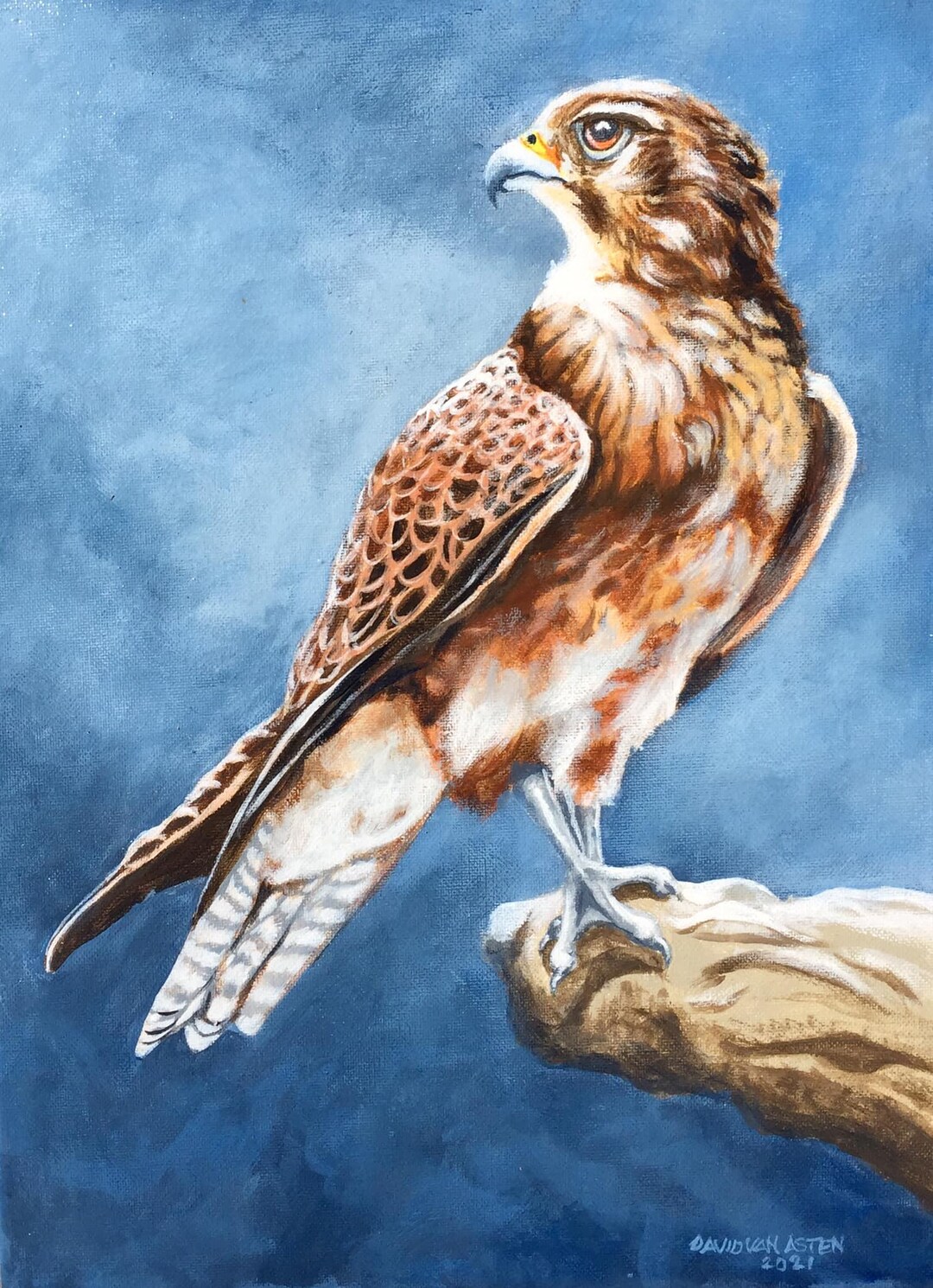 Falcon Acrylic Painting on Canvas – Bird of Prey Wall Art, Wildlife ...