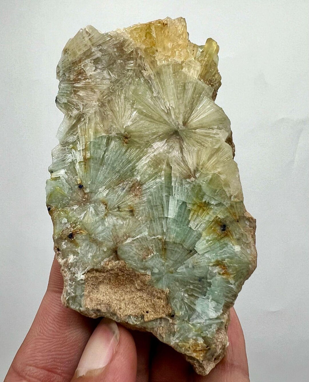 Bi-color Star Aragonite Specimen: Rare Healing Crystal Decor - Etsy