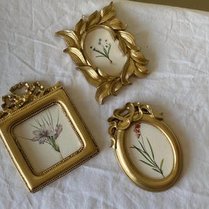 Romantic Gold Frame Trio, Handcrafted Vintage Frames With Botanical ...