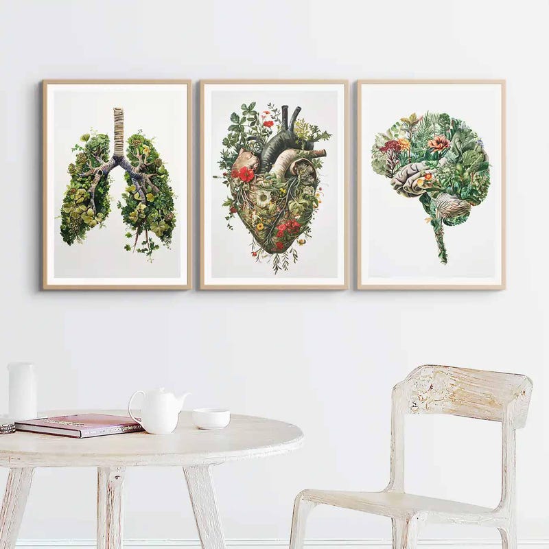 Anatomy Botanical Art - Etsy UK