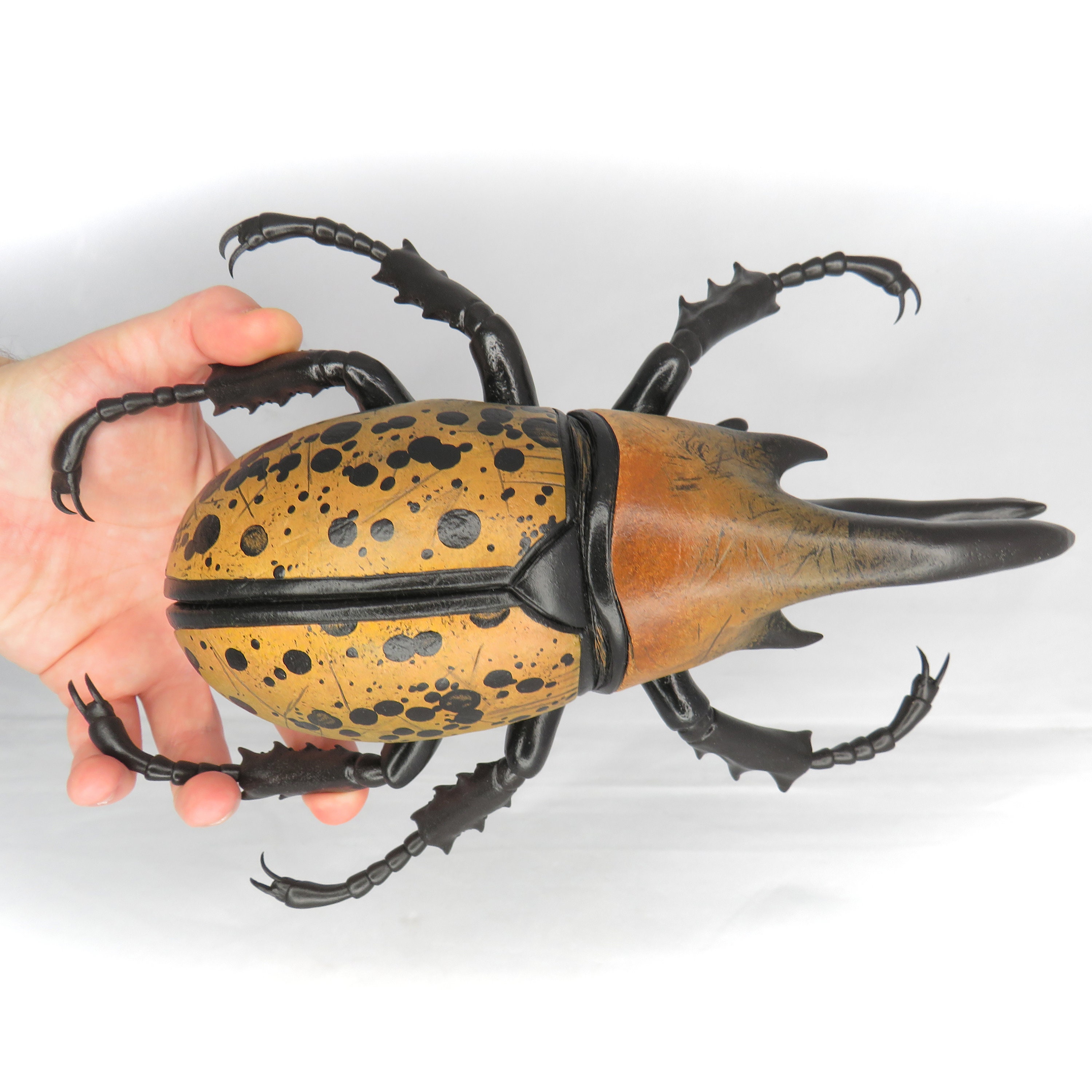Large Hercules Beetle Gourd Art Sculpture | Etsy