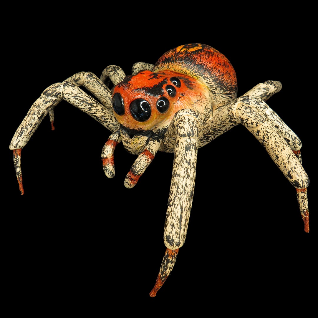 Giant Jumping Spider Wall Hanging Art Sculpture - Etsy