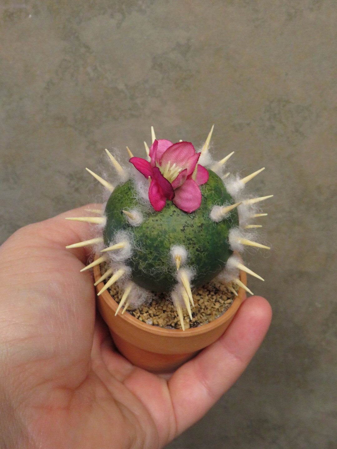 Realistic Gourd Cactus Art Sculpture 18 - Etsy