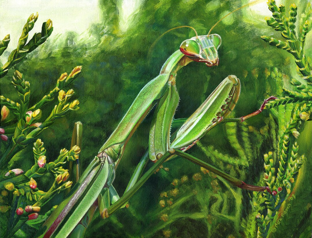 Original Acrylic Praying Mantis Painting the Power of Prayer - Etsy